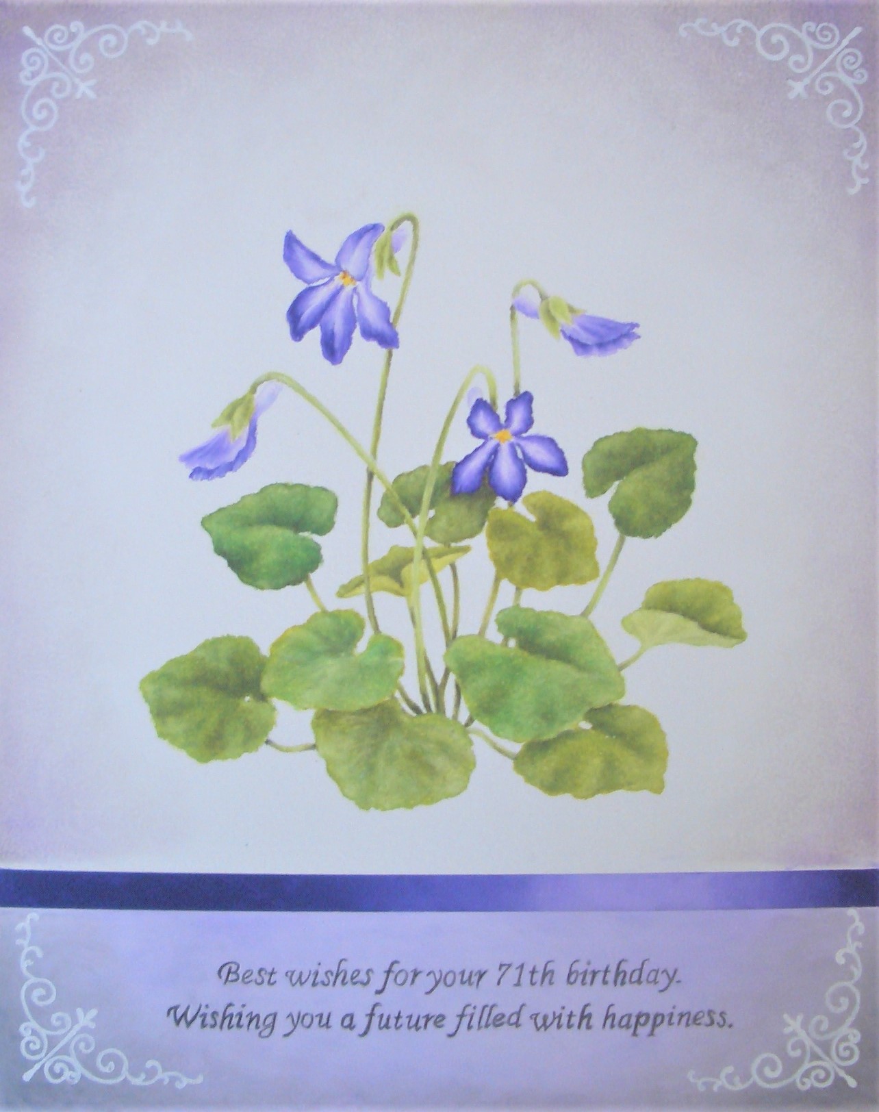 ギャラリー | Y's color